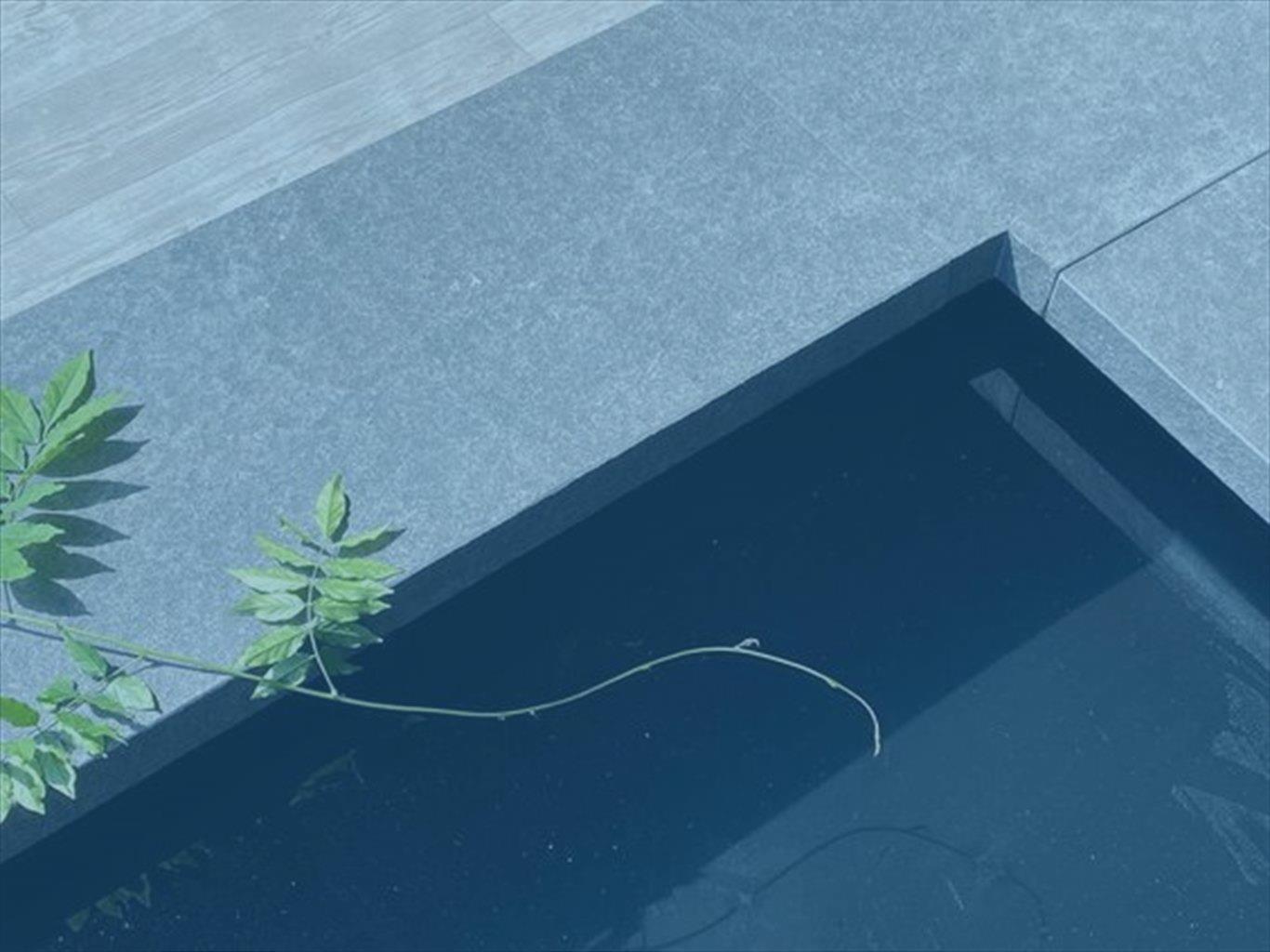 Black Basalt Paving / Tiles